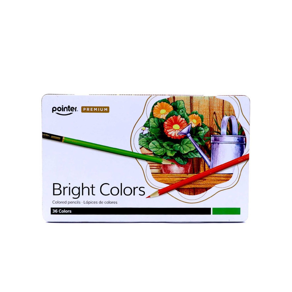 Pointer Premium Colored Pencils